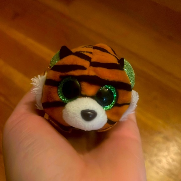 Ty | Other | Ty Beanie Boo Minis Tiggy Is The Name | Poshmark